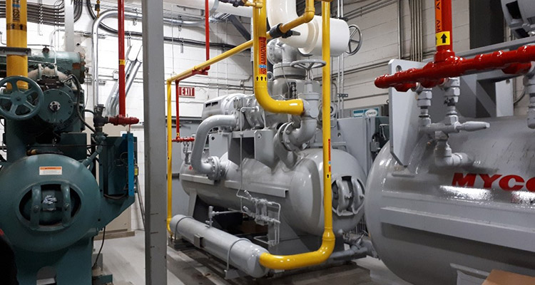 Custom Food Processing Chilling Solutions | Berg Chilling Systems Inc.