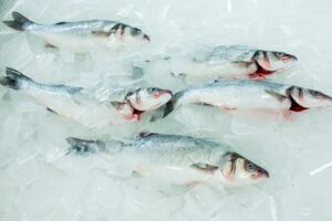 Industrial Ice Maker | Cracked Ice Machines | Berg