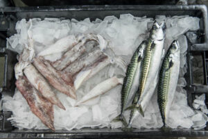 Industrial Ice Maker | Cracked Ice Machines | Berg