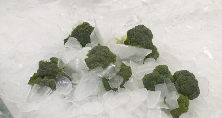 Ice Making Solutions for a Vegetable Produce Facility - Berg Chilling ...